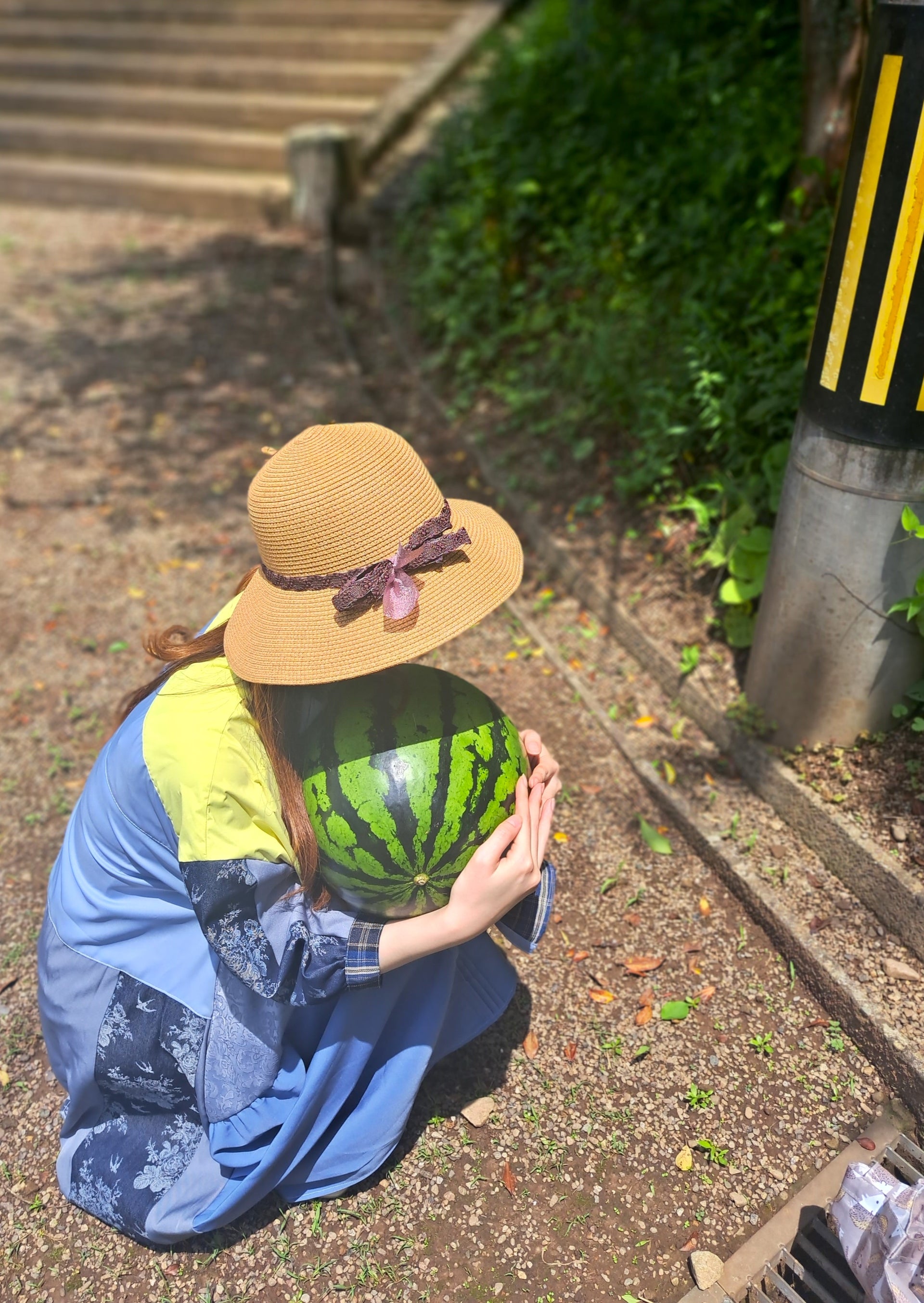 LOOKBOOK – PASTEQIDOR